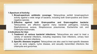 Tetracyclines, Macrolides, Chloramphenicol and Clindamycin Antibiotics ...