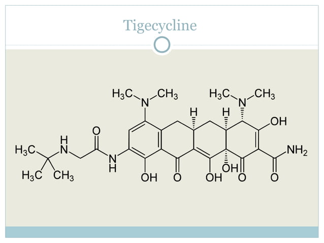 Tetracyclines, glycicyclines, macrolides and ketolides Drugs | PPT