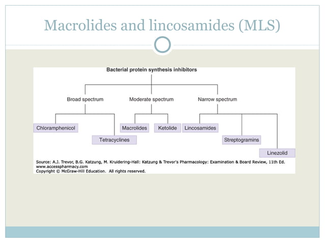 Tetracyclines, glycicyclines, macrolides and ketolides Drugs | PPT