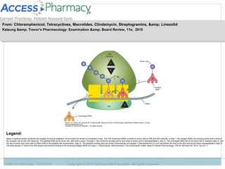 Tetracyclines, glycicyclines, macrolides and ketolides Drugs | PPT
