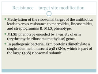 Tetracyclines, glycicyclines, macrolides and ketolides Drugs | PPT