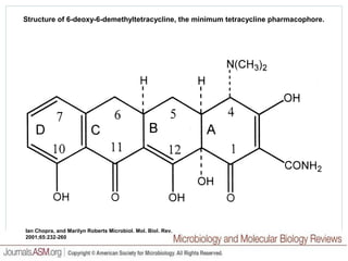 Tetracyclines, glycicyclines, macrolides and ketolides Drugs | PPT