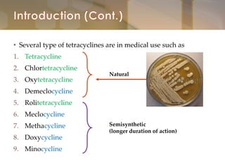 tetracyclins.pdf