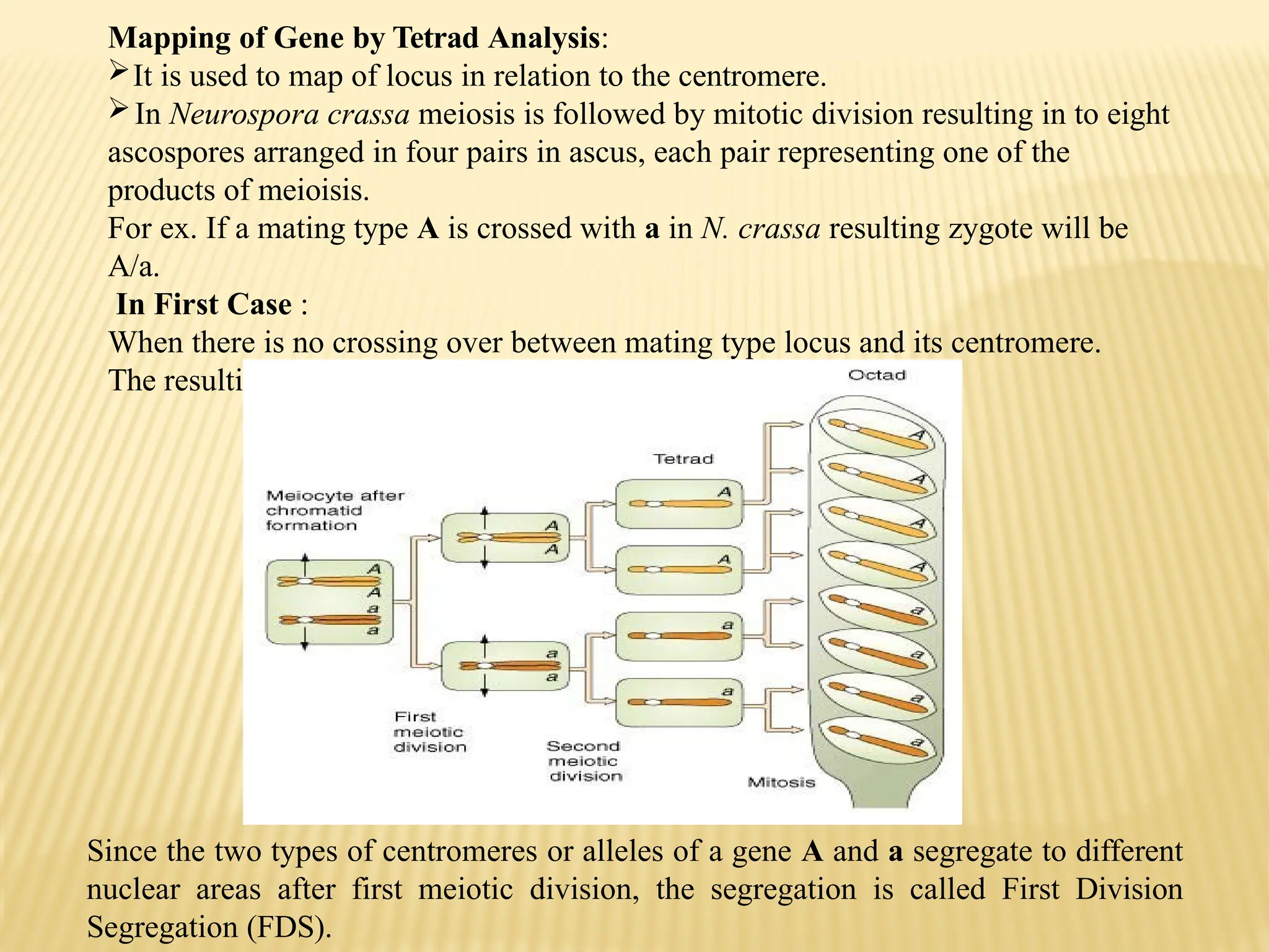 genetics Yeast, neurospora, Tetrad-Analysis.pptx