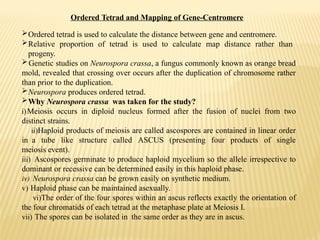 genetics Yeast, neurospora, Tetrad-Analysis.pptx