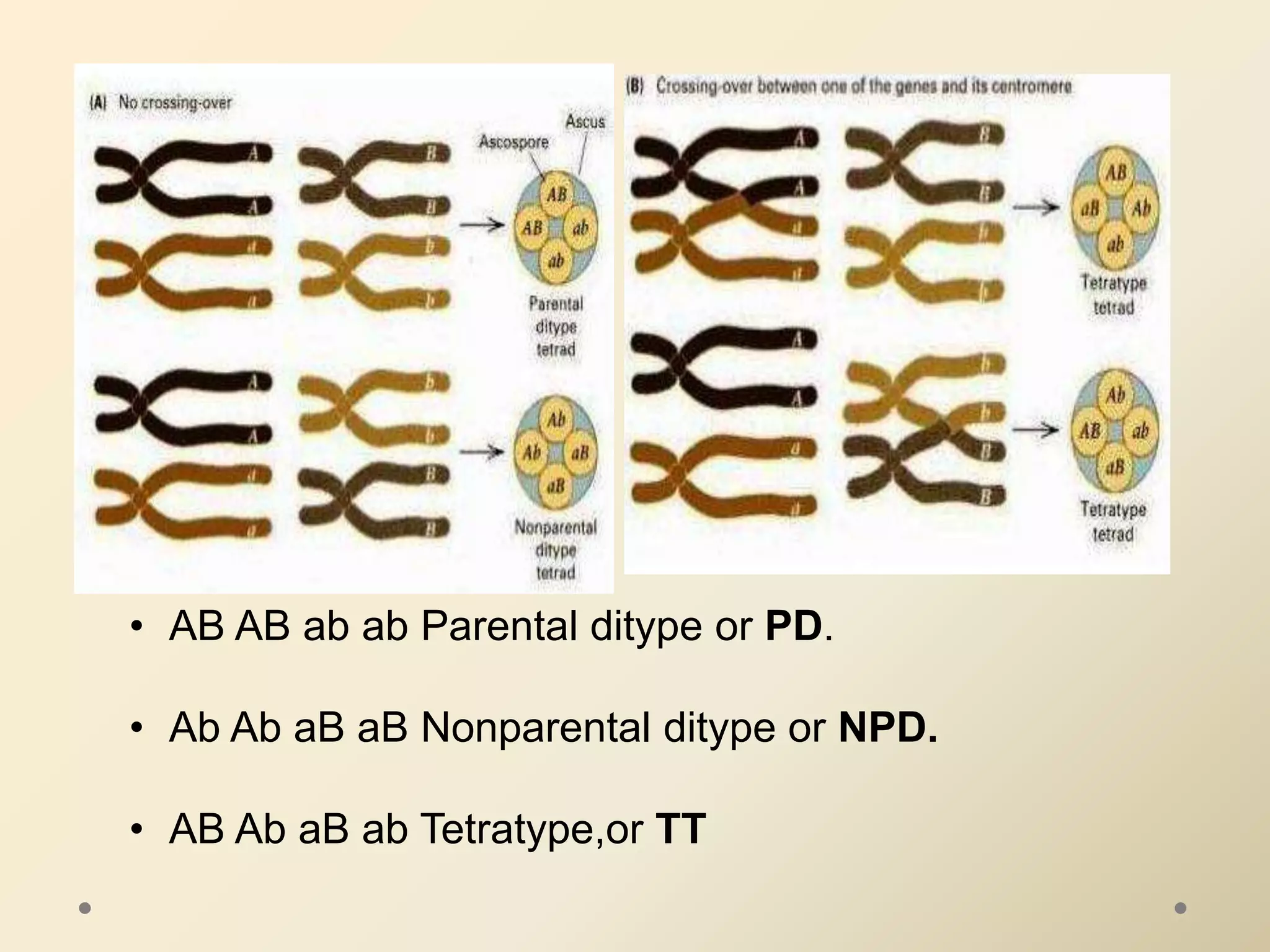 Tetrad analysis | PPTX