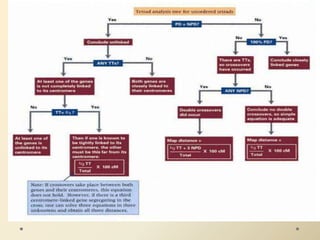 Tetrad analysis | PPTX