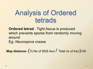 Tetrad analysis | PPTX