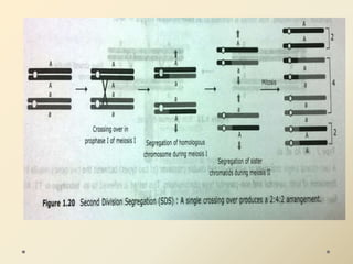 Tetrad analysis | PPTX