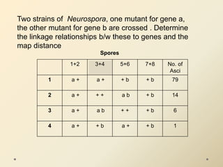 Tetrad analysis | PPTX
