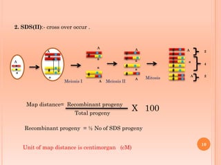 Tetrad analysis by rk | PDF