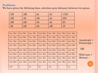 Tetrad analysis by rk | PDF