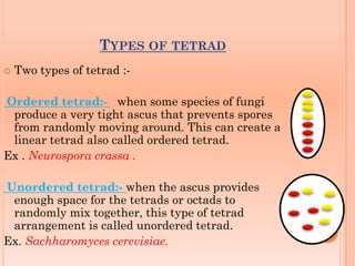 Tetrad analysis by rk | PDF