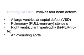 Tetralogy of Fallot (TOF) - Symptoms, Tests and Treatment | PPT | Heart ...
