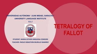 TETRALOGY OF FALLOT Heart Condition María H. | PPT