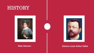 TETRALOGY OF FALLOT Heart Condition María H. | PPT