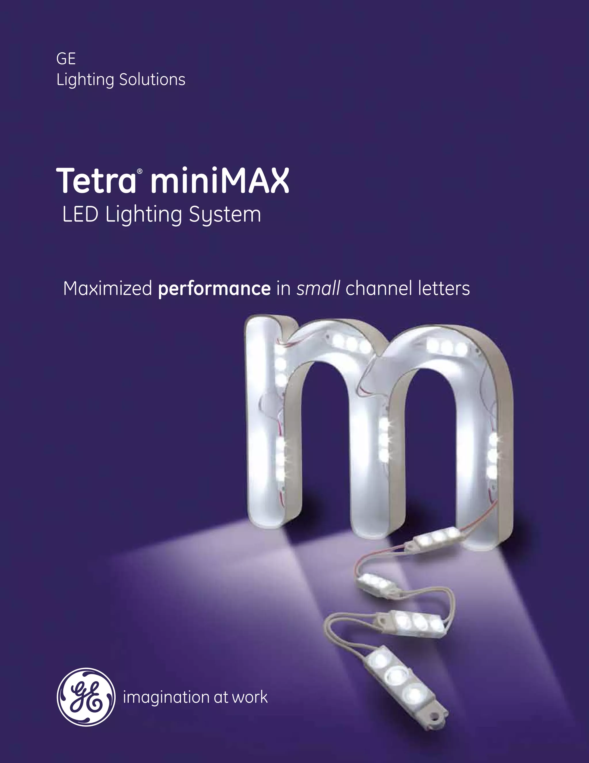 Tetra Mini Max Brochure | PDF