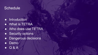TETRA Networks Security | PDF