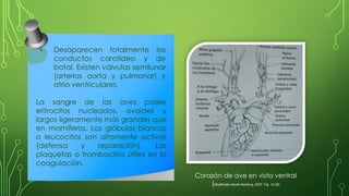 Tetrápodos: Aves y mamíferos Parte 2 | PDF