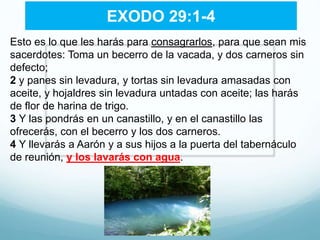 TEVILAH (Bautismo en Agua) | PPTX