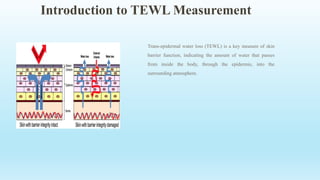 Measurement of Transepidermal Water Loss and Skin Colour | PPTX