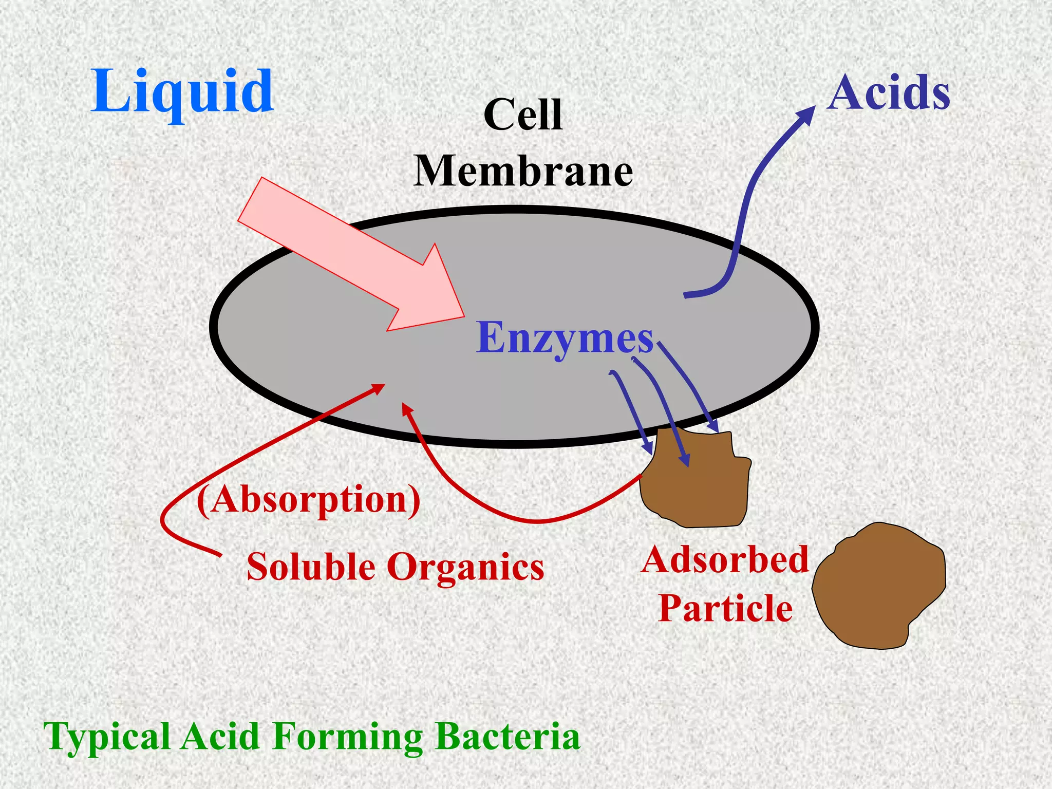 ANAEROBIC SLUDGE DIGESTION PROCESS | PPTX