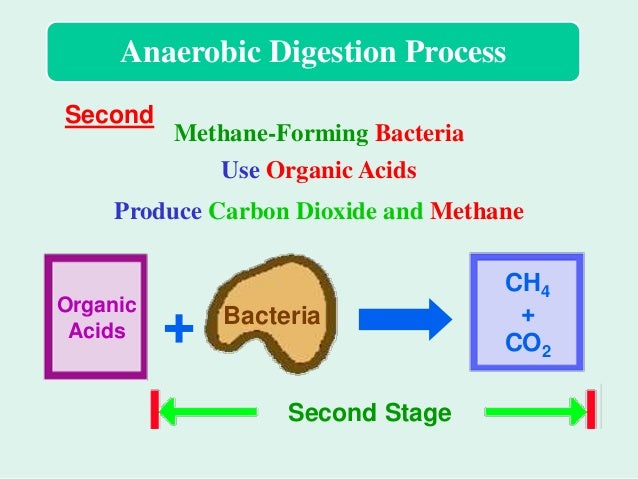 ANAEROBIC SLUDGE DIGESTION PROCESS