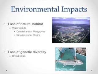 texas-envirothon-2014-sustainable-agriculture.ppt