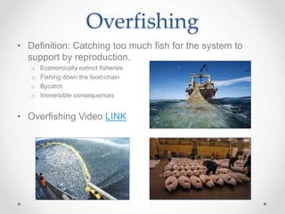 texas-envirothon-2014-sustainable-agriculture.ppt