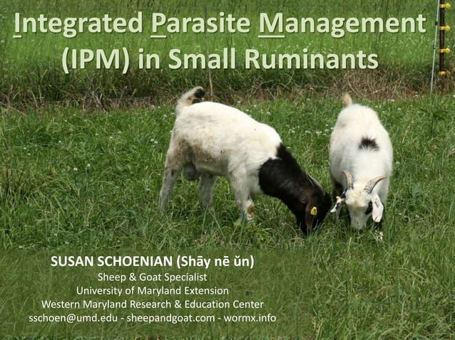 IPM in Small Ruminants | PPT
