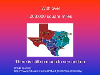 Let's Explore Texas | PPTX