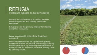 Pasture management to control internal parasites | PPTX