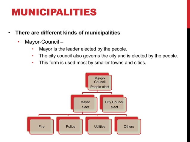 Texas government presentation | PPTX