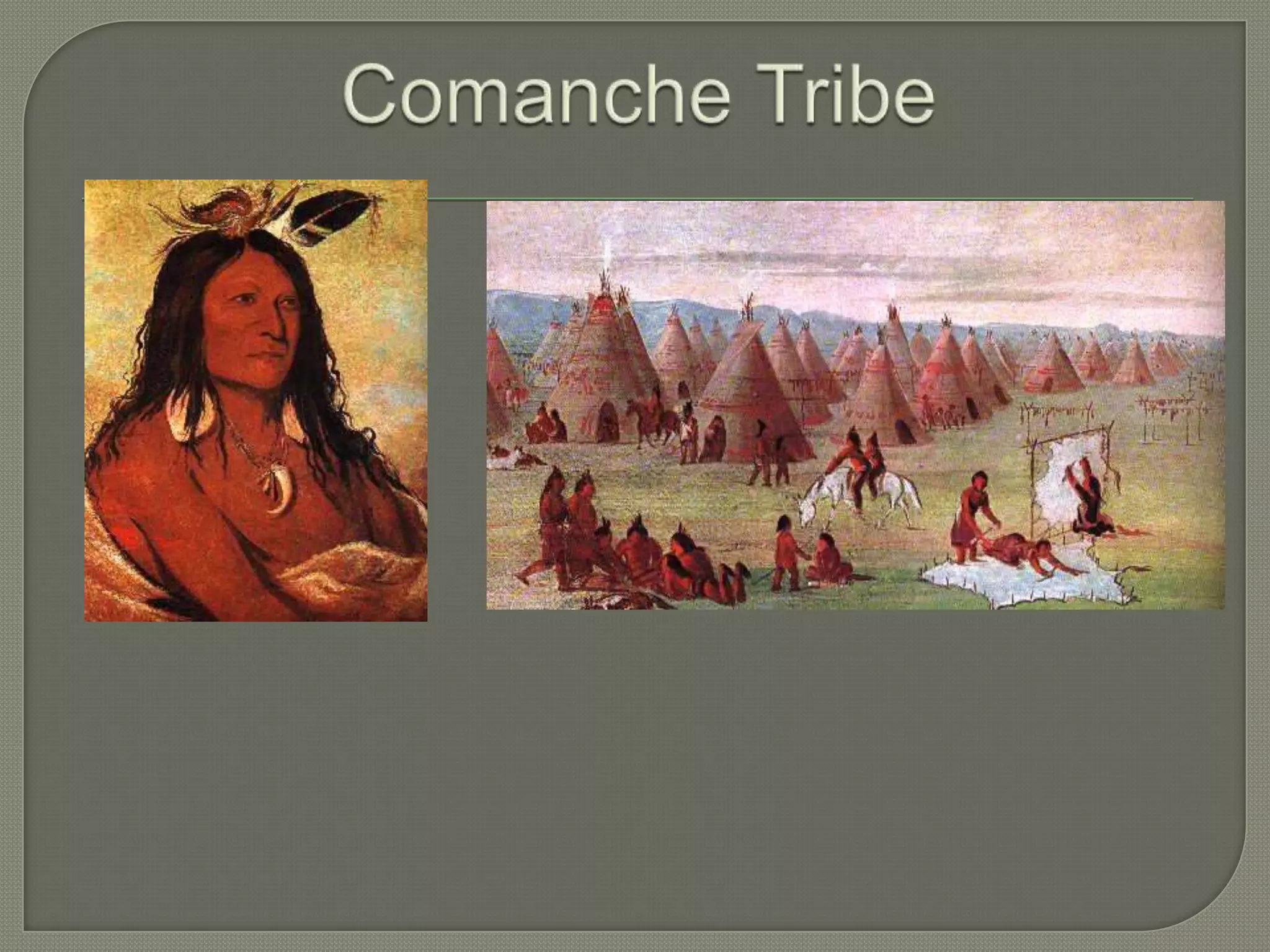 Texas native americans | PPT