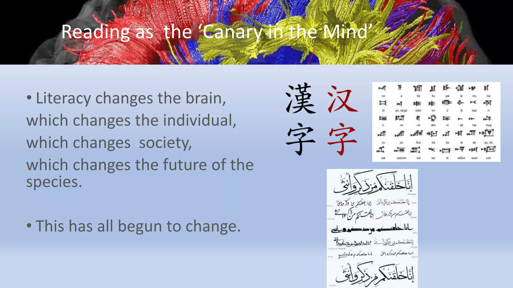 The Reading Brain in a Digital World | PPTX