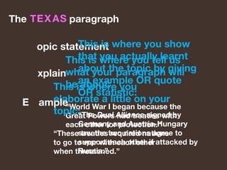 TEXAS paragraphs | PDF
