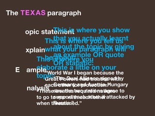TEXAS paragraphs | PDF