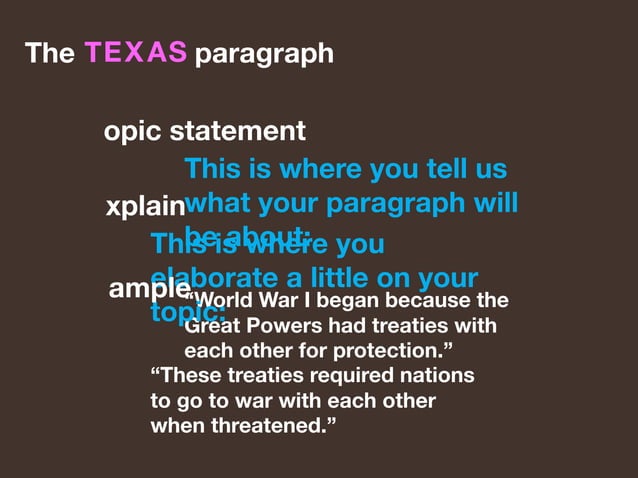 TEXAS paragraphs | PDF