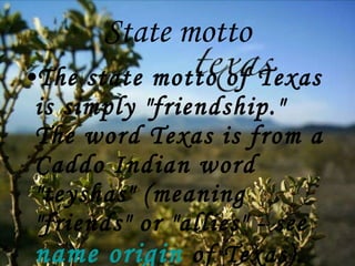 Texas Power Point | PPT