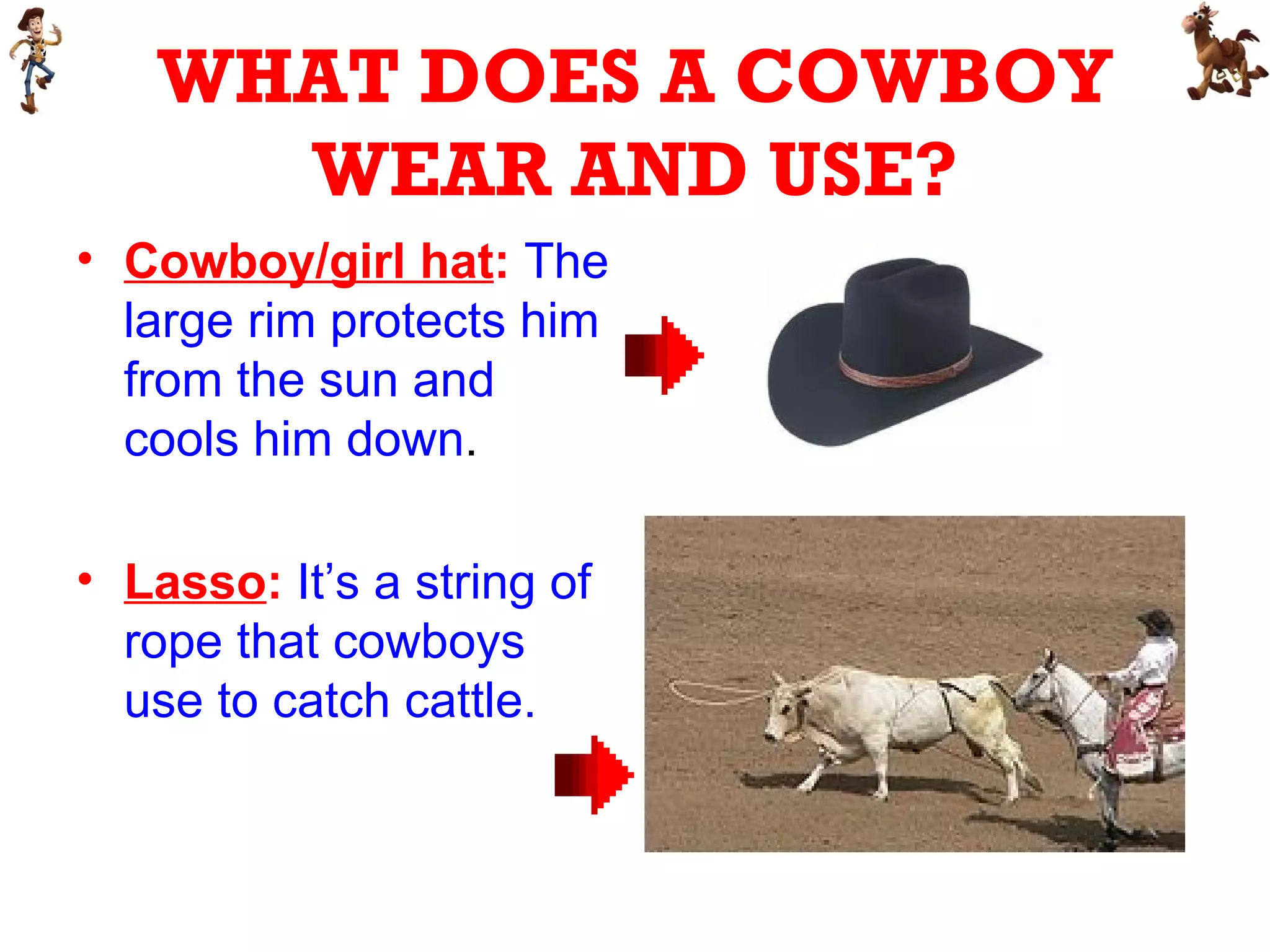 Texas powerpoint | PPT