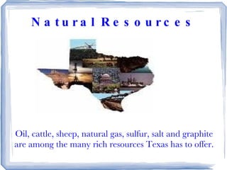 Texas Slideshow | ODP