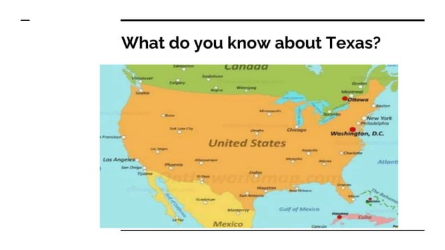 TEXAS SNOW DISASTER.pptx