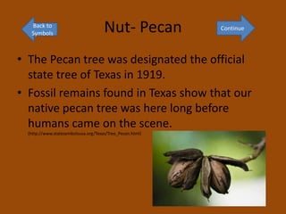 Texas symbols 1 | PPTX