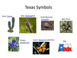 Texas symbols 1 | PPT