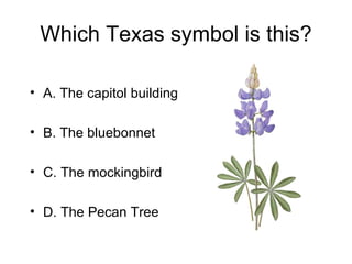 Texas symbols | PPT