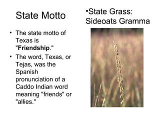 Texas symbols | PPT