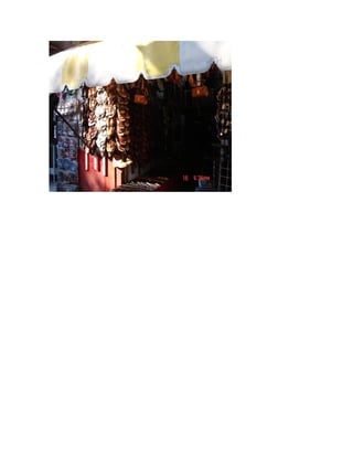 Texcoco(1) | DOC