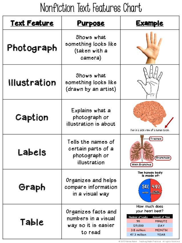 Text Features chart freebie text-features-chart-freebie