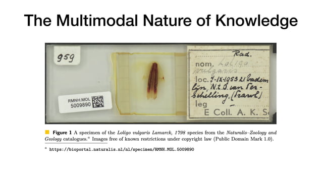 To Graph or Not to Graph Knowledge Graph Architectures and LLMs | PPT | Free Download