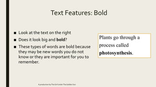 Text and image features - Grade 2 | PPTX